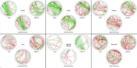 Tissue Specific Metabolite Correlation Networks Of The Basal Download Scientific Diagram