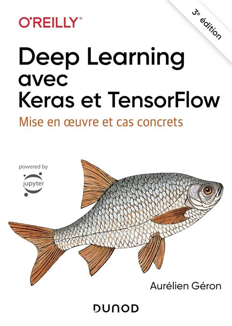 Deep Learning Avec Keras Et Tensorflow 3e éd Mise En Oeuvre Et Cas Concrets Uk