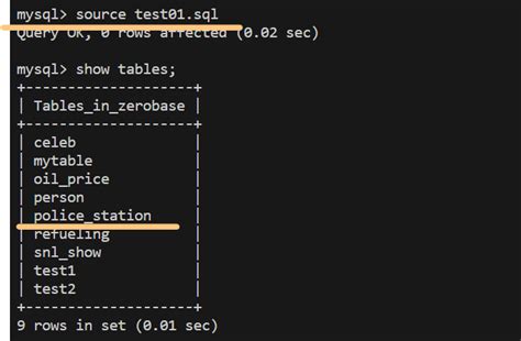 Sql Chapter11 Aws Rds And Chapter12 Sql File
