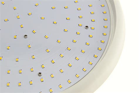 Cob Led Light Meaning Shelly Lighting