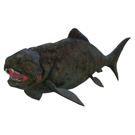 Placoderm Fish 3d Model 3d Turbosquid 2311793