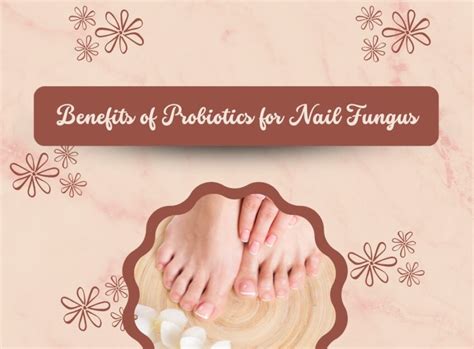 3 Benefits Of Probiotics For Nail Fungus Science Backed Solutions