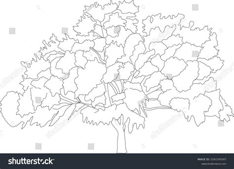 Large Vector Tree Cutout Illustration Flat Stock Vector Royalty Free 2161195507 Shutterstock
