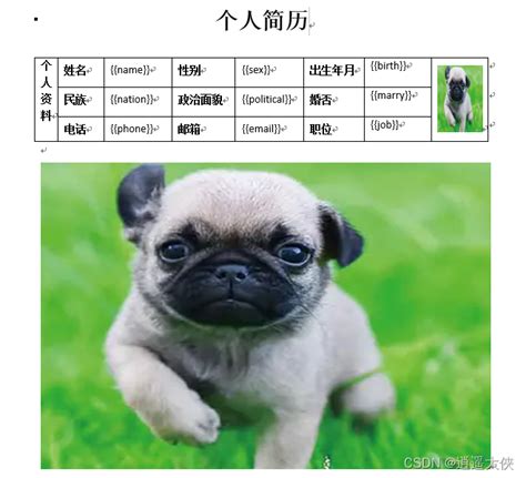 纯java后台生成带echarts的pdf文档（phantomjs）纯java后台生成echarts图片并将图片生成到pdf文档 Csdn博客