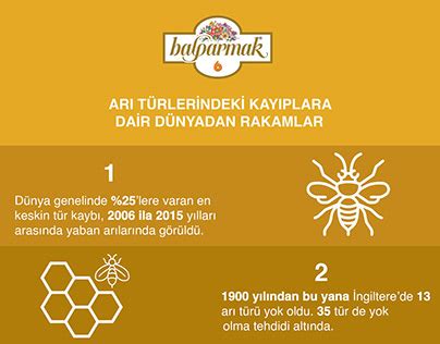 Balparmak Projects | Photos, videos, logos, illustrations and branding ...