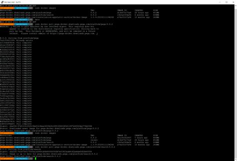 do pega docker images with the same tag got updated regularly either