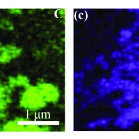 A SEM Image Of LC EDS Mapping Images Of LC B C Element C O Download Scientific Diagram