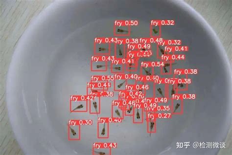 AI 养鱼黑科技机器视觉如何 小时监测鱼群缺氧实现 的缺氧预警准确率 知乎
