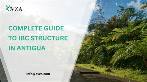 Antigua Ibc Business Framework Ovza Llc