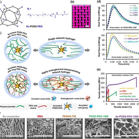 Fabrication Of Polyacrylamide Pam Hydrogels A Chemical Structure Of Download Scientific