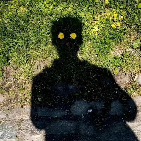 陈奕迅eason头像合集 陈奕迅头像图片大全配图网