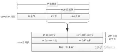 Udp分包与组包 知乎