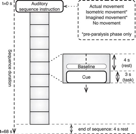 Visualization Of Experimental Sequences Download Scientific Diagram