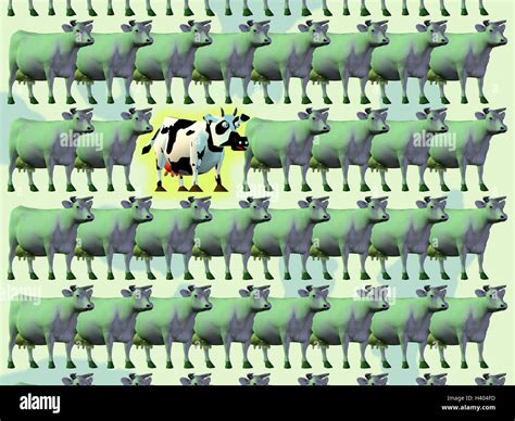 Representation Cows Focuses Bse Cattle Computer Graphics
