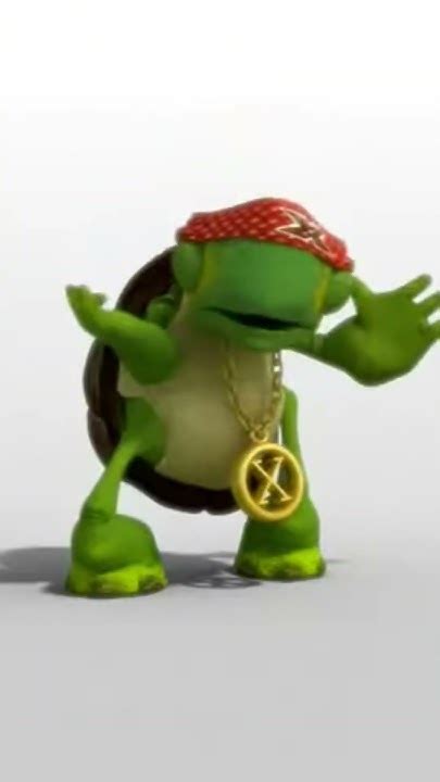 Rapping Turtle Original Youtube