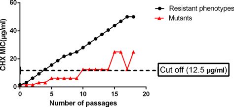 Minimum Inhibitory Concentration Mic Of Chlorhexidine Chx Resistant Download Scientific
