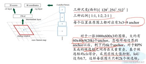 目标检测经典算法R CNNFast R CNN和Faster R CNN详解系列三Faster R CNN图文详解 最新rcnn系列 CSDN博客