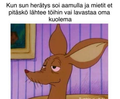 17 Parasta Kuvaa Pinterestissä Muumi Meemit Hauskaa Hauskat Kuvat