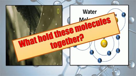 Solution Module 56 General Types Of Intermolecular Forces And Effects Of Intermolecular Forces