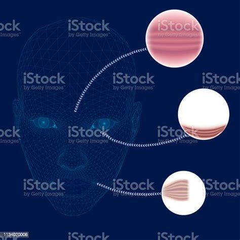 어두운 배경에 파란색 선의 소녀 머리의 와이어 프레임 증가 피부 규모와 화살표가 있는 소녀의 다각형 얼굴 여성의 얼굴의 확대