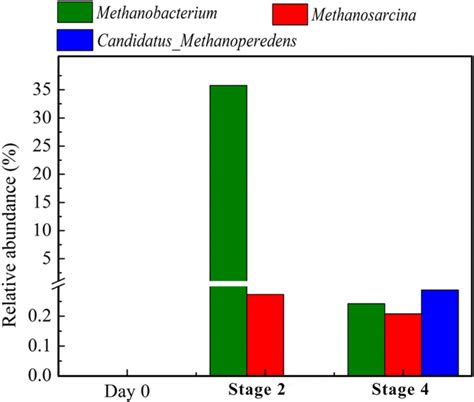 The Abundances Of Dominant Methanogenic Archaea In The Inoculum And