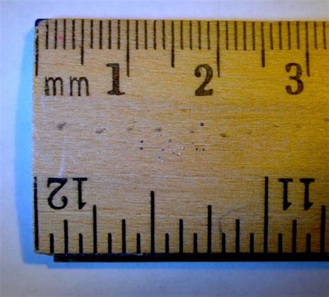 Metric Measurements Length And Mass Flashcards Quizlet