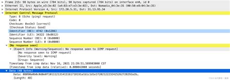 [计算机网络][wireshark] wireshark分析icmp协议 wireshark抓取icmp报文分析 csdn博客