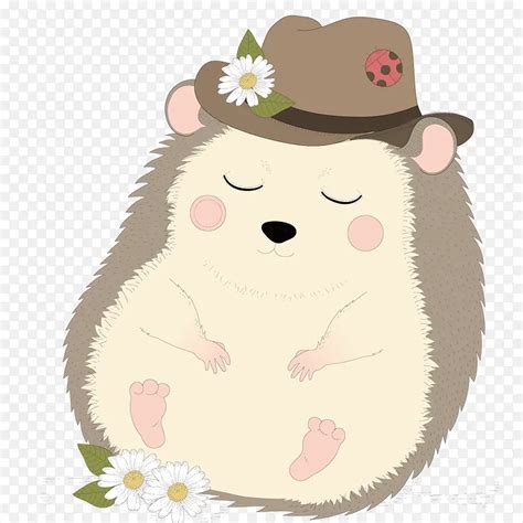 可爱刺猬唯美插画png图片素材下载图片编号7983308 Png素材网