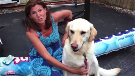 Wife Likes Dog More Than Husband Youtube