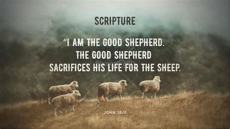 Sharefaith Media The Good Shepherd Title Graphics Sharefaith Media