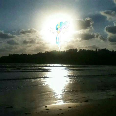 1310956 Against Sun Beach Irl Photo Ponies In Real Life