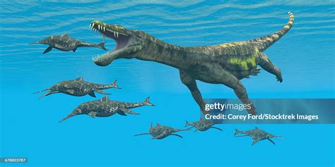 Nothosaurus Sea Monsters
