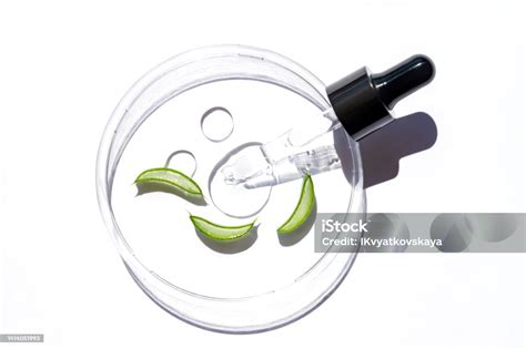 알로에 베라 화장품 젤과 알로에 베라 식물 조각 흰색 배경에 검은 뚜껑이있는 유리 점적기를 곁들인 페트리 요리 화장품 실험실 개념 천연 스킨 케어 제품 생활필수품에 대한