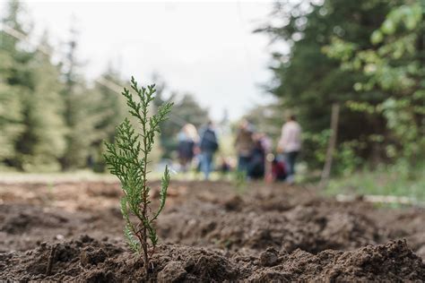 Eso Bg Електроенергиен Системен Оператор