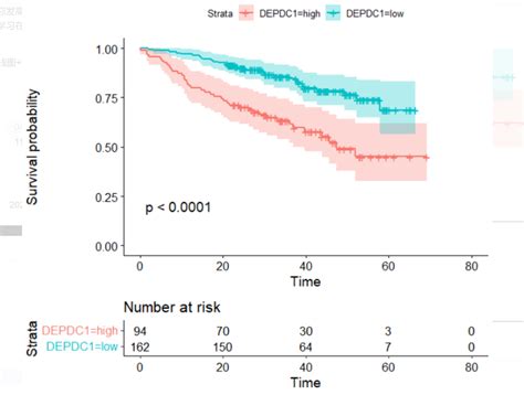 Qanda R做生存分析如何取最佳cutoff截断 阿里云开发者社区