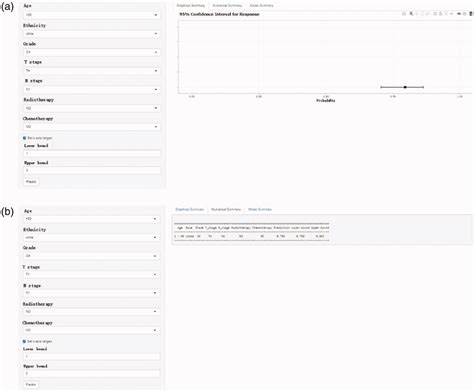 Web Based Probability Calculator For Distant Metastasis Risk In