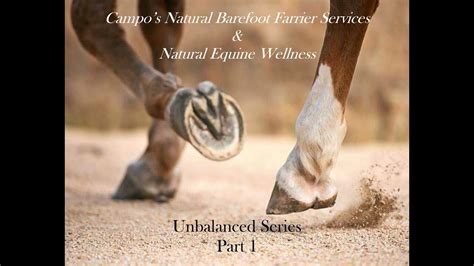 Campos Natural Barefoot Farrier Unbalanced Series Part One Youtube