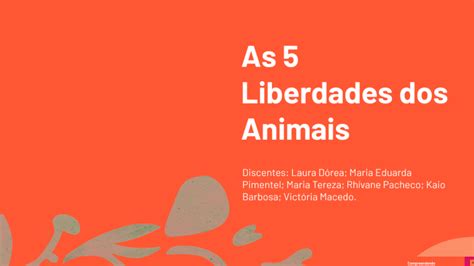 As 5 Liberdades Dos Animais By Laura Dórea On Prezi