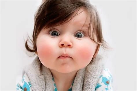 Big Cheeks Wallpapers Wallpaper Cave