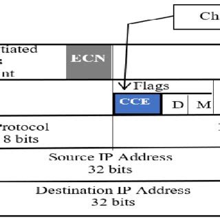 IP Header With Suggested Modification Download Scientific Diagram