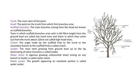 Methods Of Training Pptx