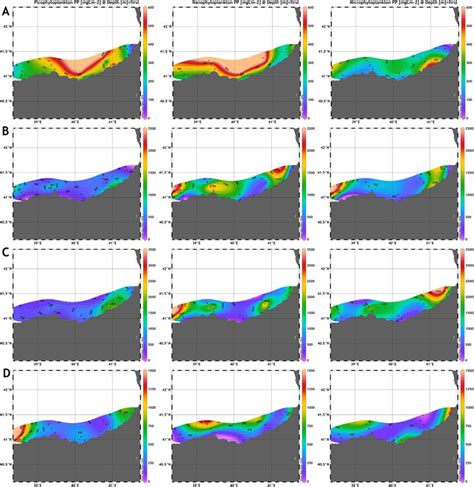Spatio Temporal Variations In Total Integrated Primary Production Rates Download Scientific