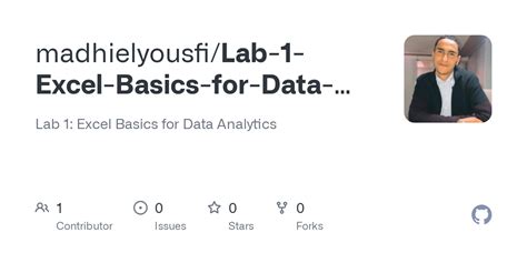 Github Madhielyousfilab 1 Excel Basics For Data Analytics Lab 1