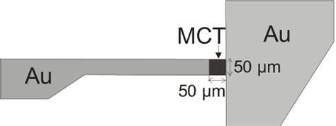 Schematic Drawing Of Microbolometer Design Download Scientific Diagram