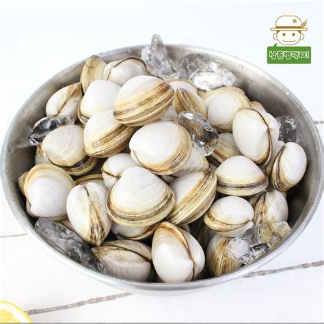 서해안 서천 동죽 조개 2kg 신세계적 쇼핑포털 Ssgcom