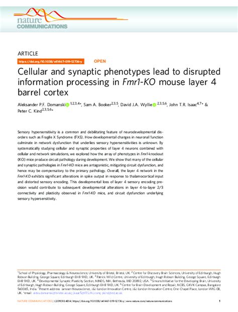 Pdf Cellular And Synaptic Phenotypes Lead To Disrupted Information Processing In Fmr1 Ko Mouse