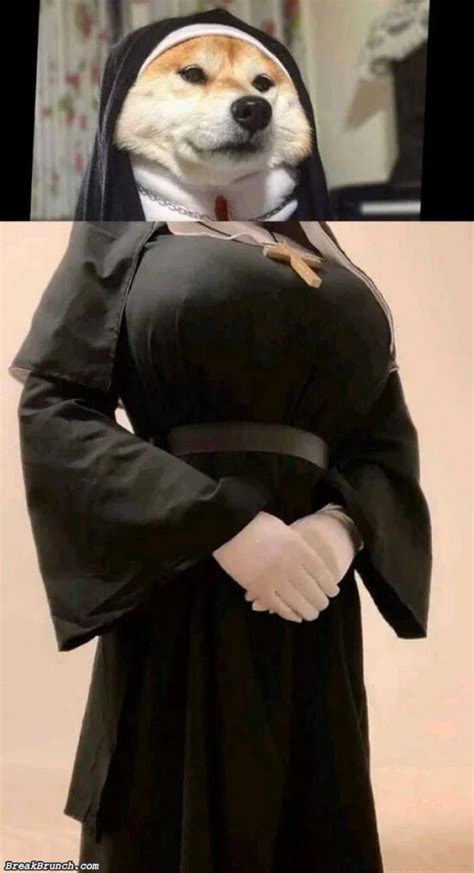 Sexy Dog Breakbrunch