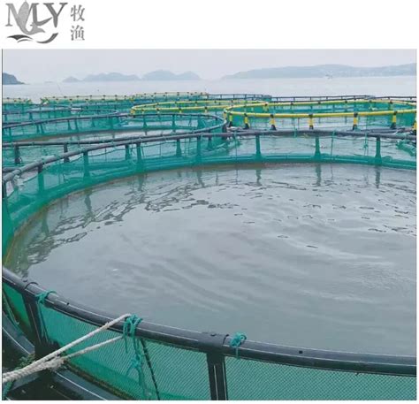 Hot Sell Fish Trap Net Cage Tilapia Fish Farming Nets Hdpe 2mm 40mm Mesh Floating Fish Net Cage