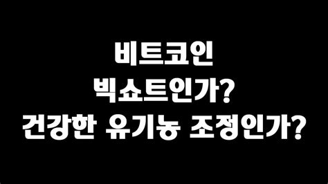 비트코인 조정 빅쇼트 횡보 Youtube