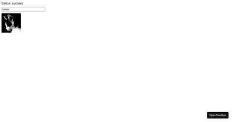 Handle User Input Forked Codesandbox